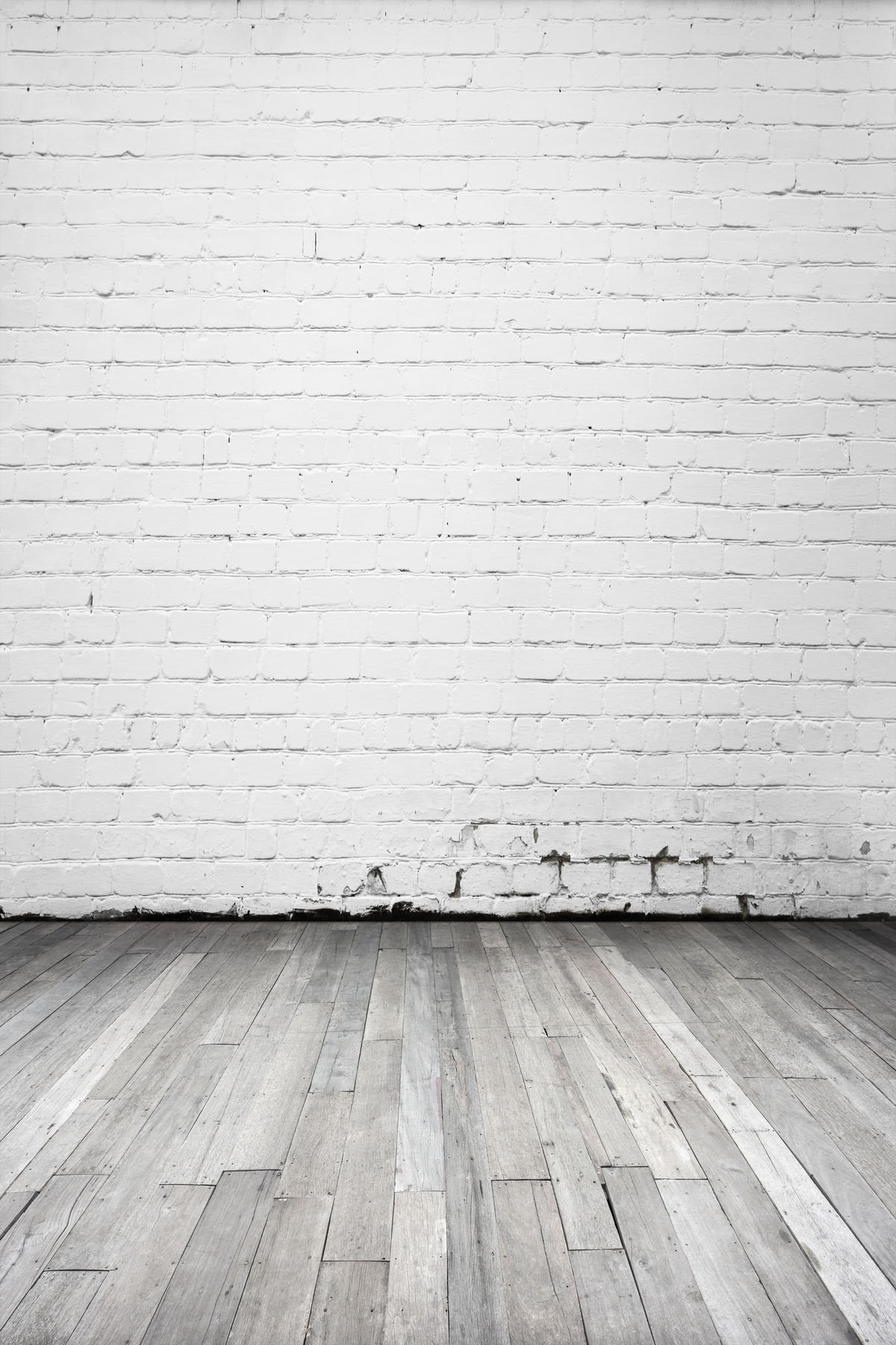 Studio background SP 38